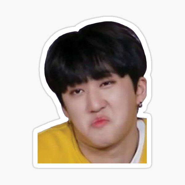"Stray Kids Funny Changbin Meme" Sticker for Sale by kpopnow | Redbubble