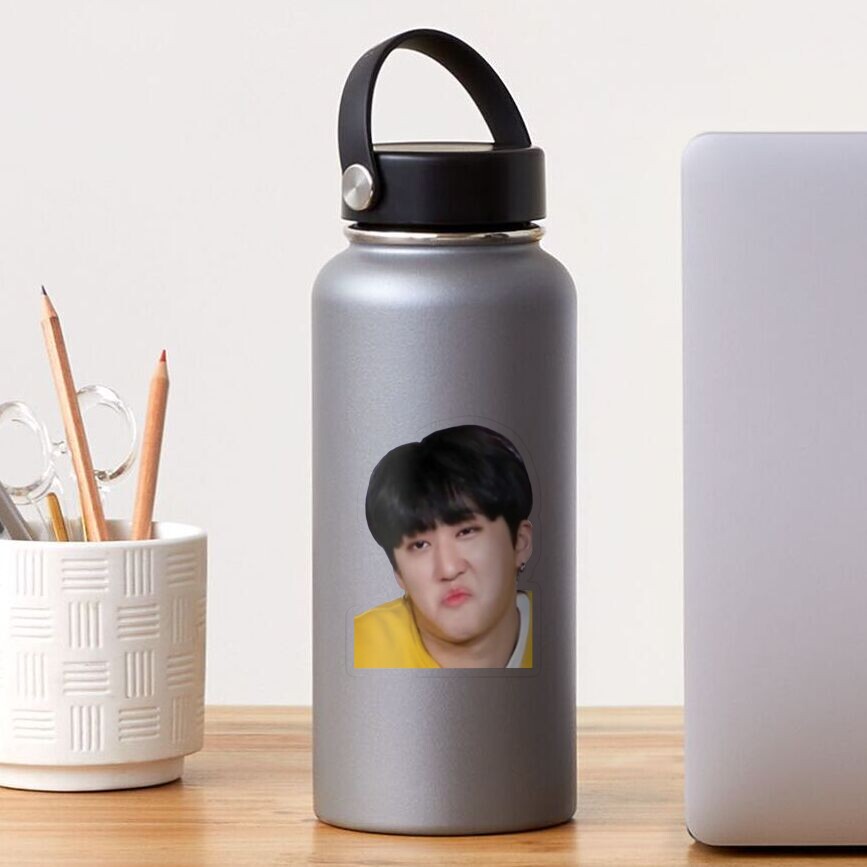 "Stray Kids Funny Changbin Meme" Sticker for Sale by kpopnow | Redbubble