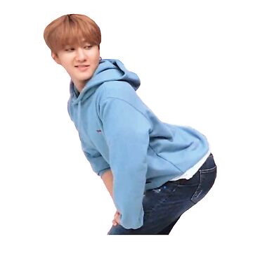 "Stray Kids Funny Changbin Meme" Sticker for Sale by kpopnow | Redbubble