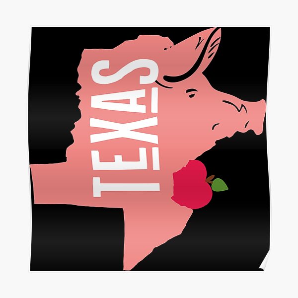 "A funny map of Texas " Poster by funnymaps | Redbubble