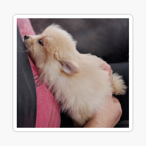 Teses Gifts & Merchandise | Redbubble