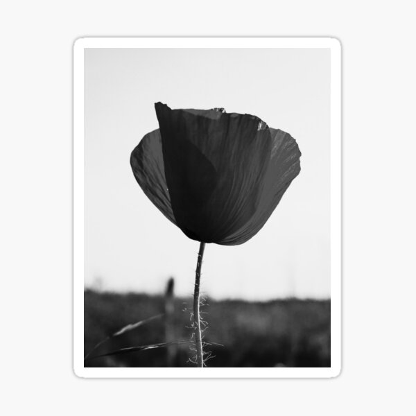 "opium flowers" Sticker by Artditya | Redbubble