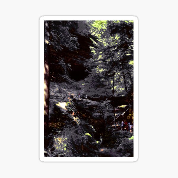 "Forest" Sticker for Sale by PLAP | Redbubble