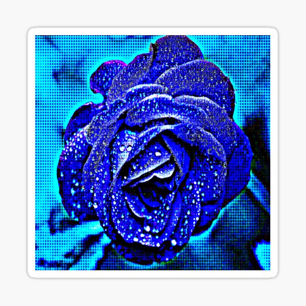 "Blue Rose" Sticker for Sale by AptitudePics | Redbubble