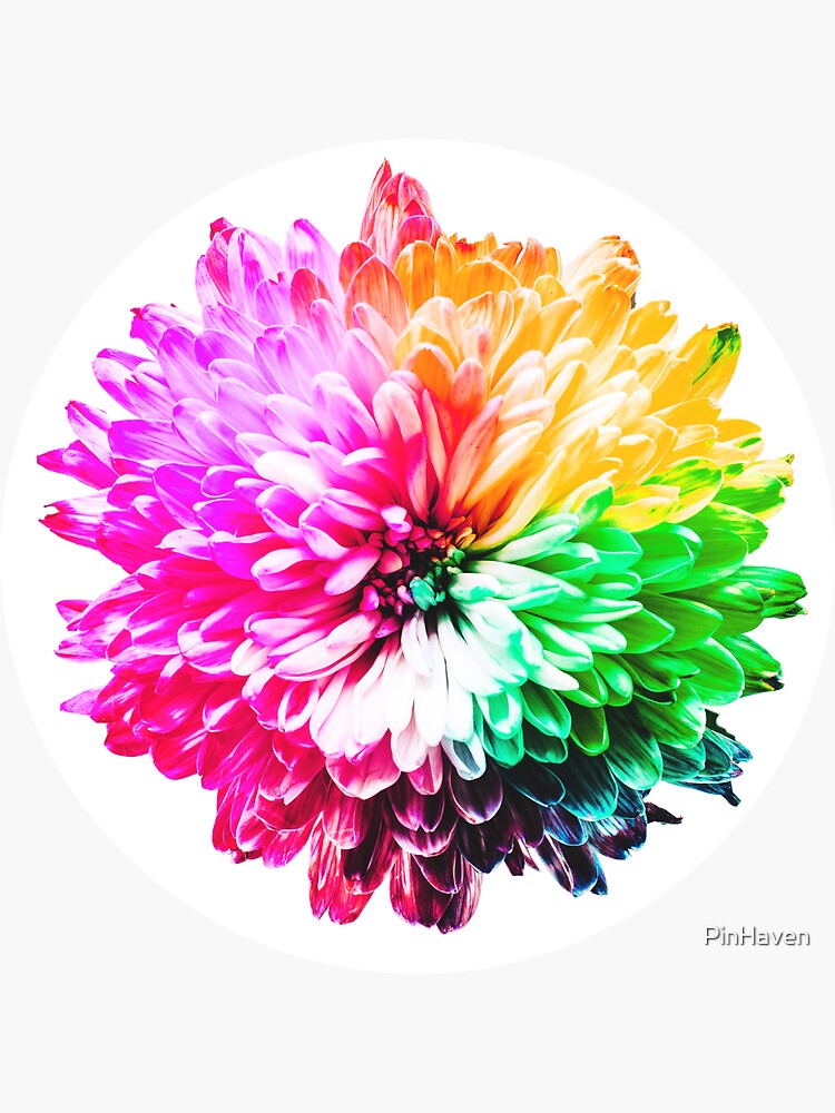 "Rainbow Flower" Sticker for Sale by PinHaven | Redbubble