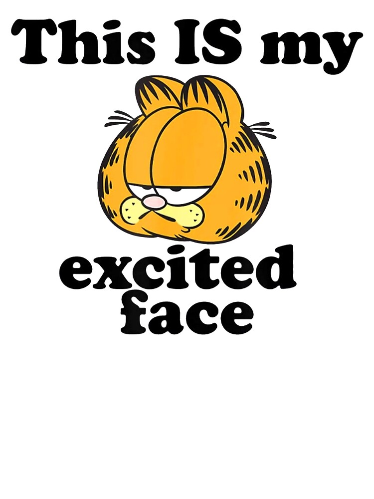 "Garfield face" Poster for Sale by brett5534 | Redbubble