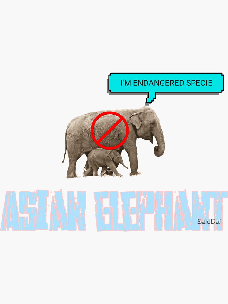 "Asian Elephant " Sticker for Sale by SaidDaf | Redbubble