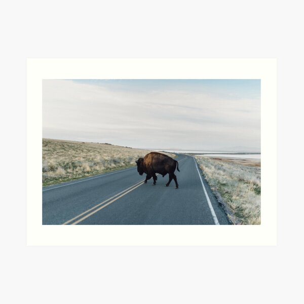 "Seldom is Herd" Art Print for Sale by chelseavictoria | Redbubble