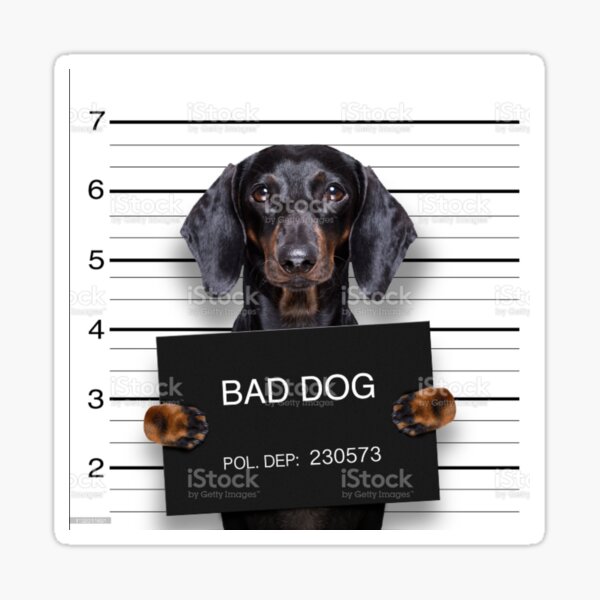"Bad dog" Sticker for Sale by mario-super | Redbubble