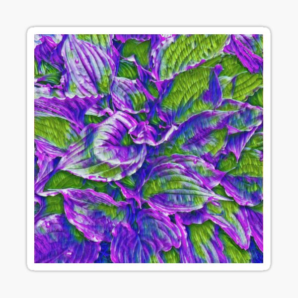 "Hosta Purple Flow" Sticker for Sale by SunshineWalker | Redbubble