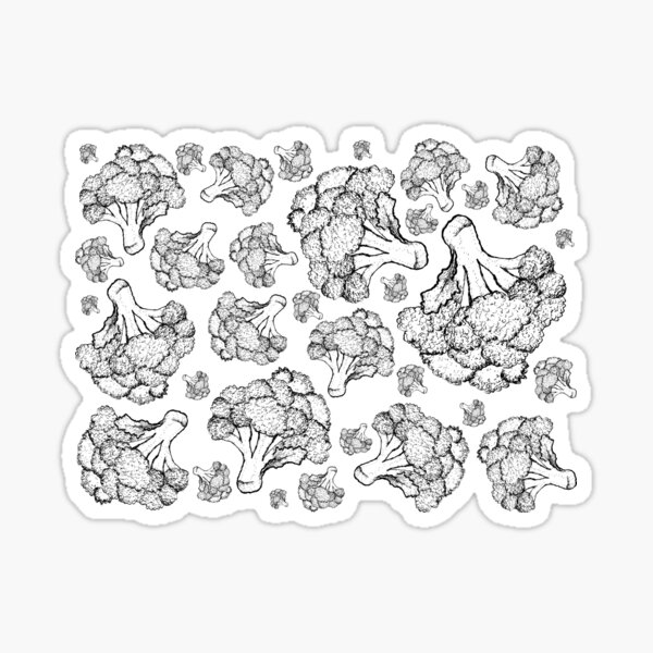 "Hand Drawn of Fresh Raw Broccoli " Sticker for Sale by Iamnee | Redbubble
