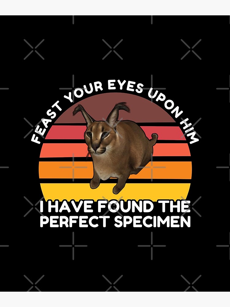 "Funny Big Floppa Meme, I Have Found The Perfect Specimen" Photographic ...