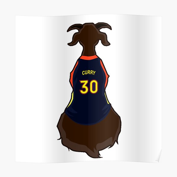 "Stephen Curry - G.O.A.T" Poster for Sale by AYA-Design | Redbubble