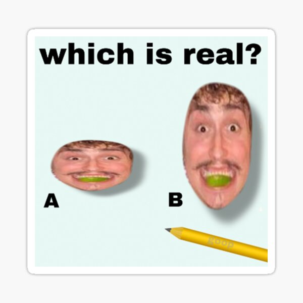 "WHICH IS REAL" Sticker for Sale by goopyvanfleet | Redbubble