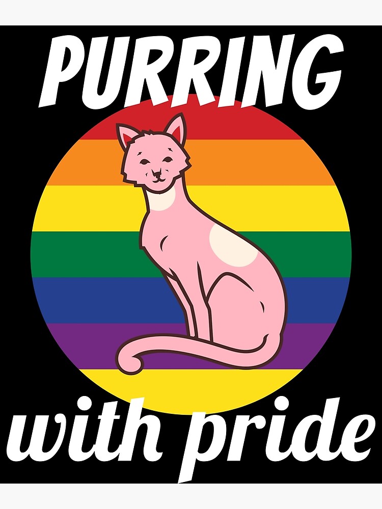 "Purring With Gay Pride Cat Vintage Retro Sunset Lesbian Queer ...