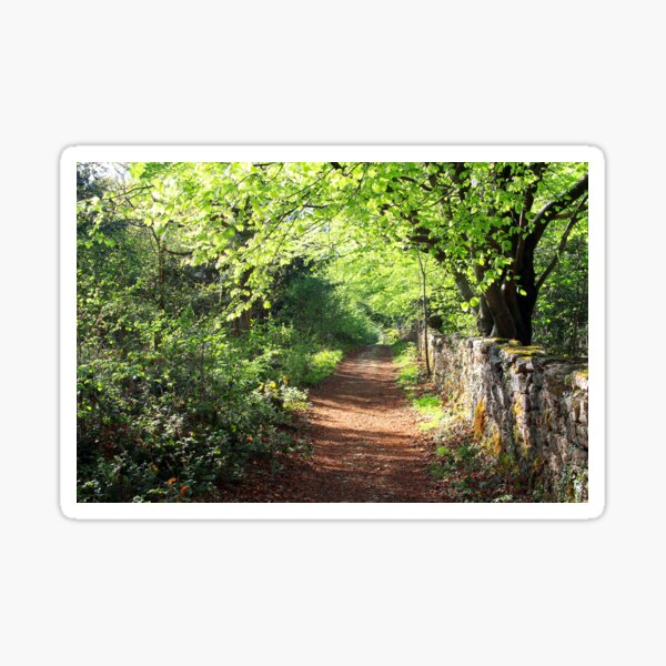 "Woodland Sunshine Path" Sticker for Sale by RickWilson | Redbubble