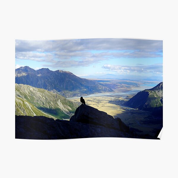 "New Zealand - Hooker Valley Kea" Poster for Sale by TNImages | Redbubble