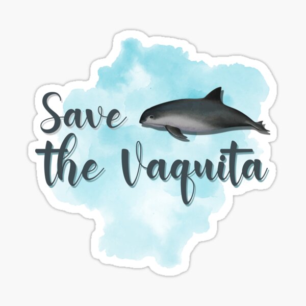 "Save The Vaquita" Sticker by ErmessThiings | Redbubble