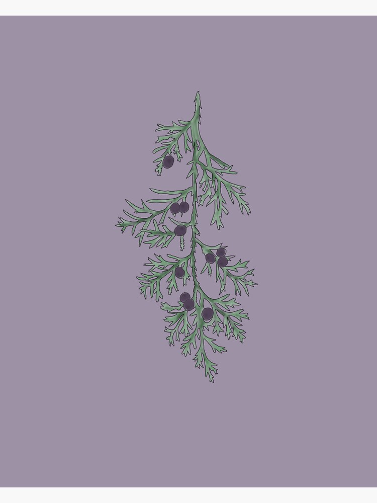 "Juniper" Sticker for Sale by JuneandJade | Redbubble