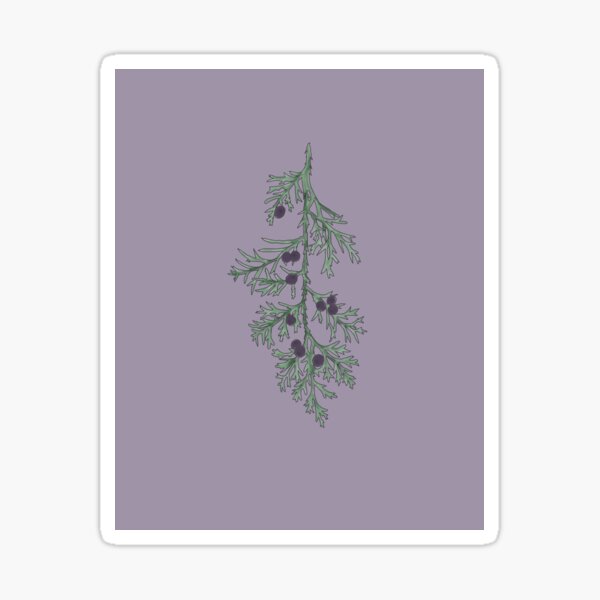 "Juniper" Sticker for Sale by JuneandJade | Redbubble