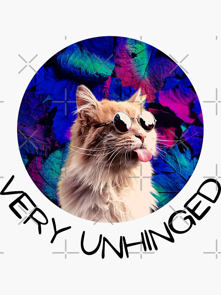"Very Unhinged Shirt, Sticker and Pin New Funny, Lovely and Cute Shirt ...
