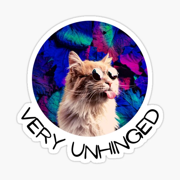 "Very Unhinged Shirt, Sticker and Pin New Funny, Lovely and Cute Shirt ...