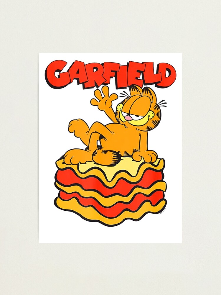 "Garfield face meme" Photographic Print for Sale by brett5534 | Redbubble