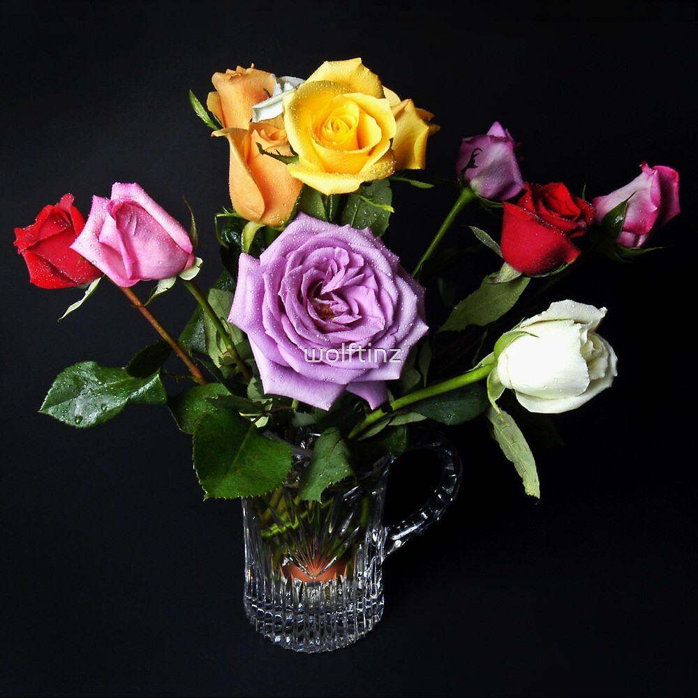 "Pitcher of Roses" by wolftinz | Redbubble