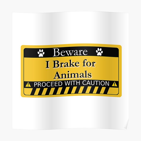 "Funny car warning I brake for animals Car Magnet | I brake for ...
