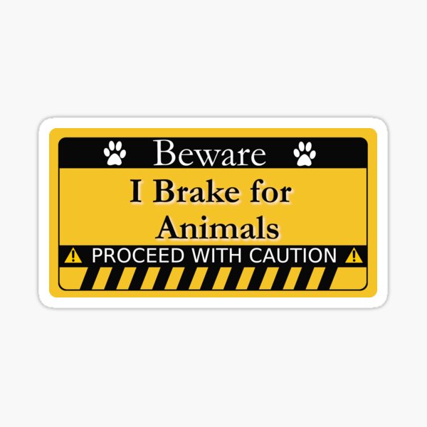 "Funny car warning I brake for animals Car Magnet | I brake for ...