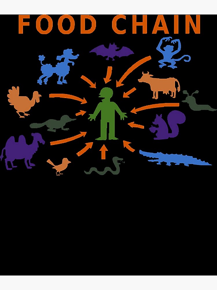 "Food chain " Poster for Sale by slezakghreachyo | Redbubble