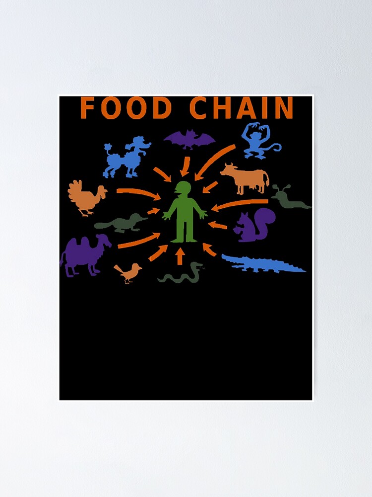 "Food chain " Poster for Sale by slezakghreachyo | Redbubble