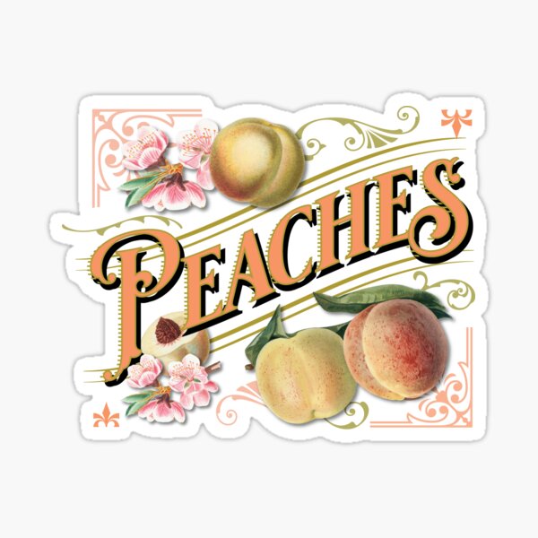 "The Peaches In Vintage Art" Sticker for Sale by JCMCDesigns | Redbubble