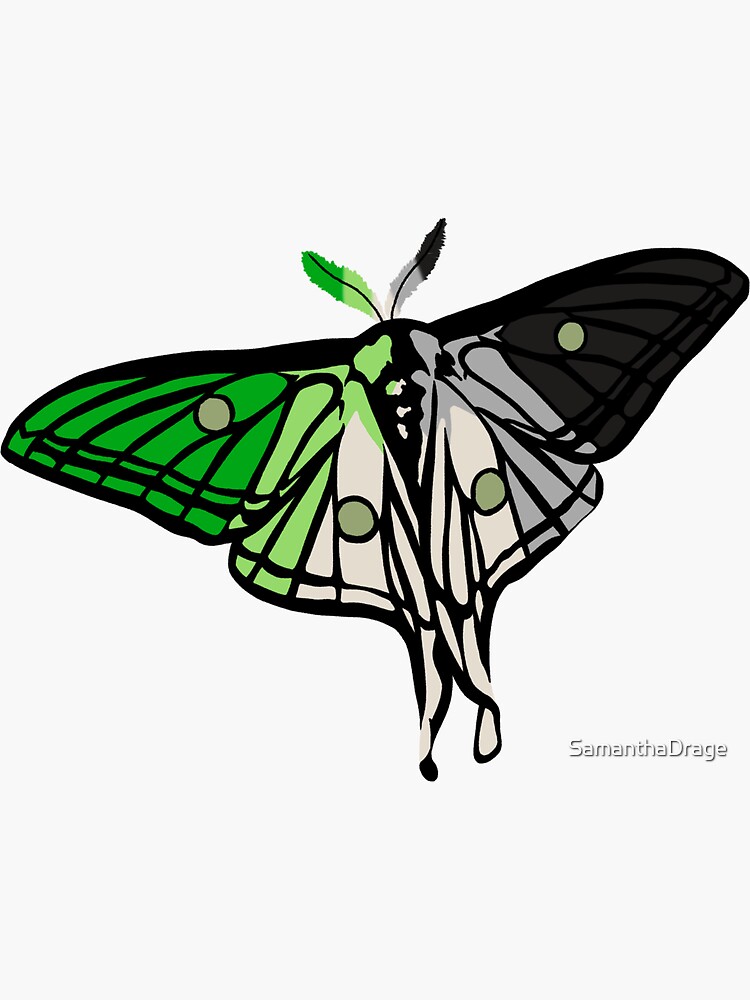 "Aromantic Pride Moth" Sticker for Sale by SamanthaDrage | Redbubble