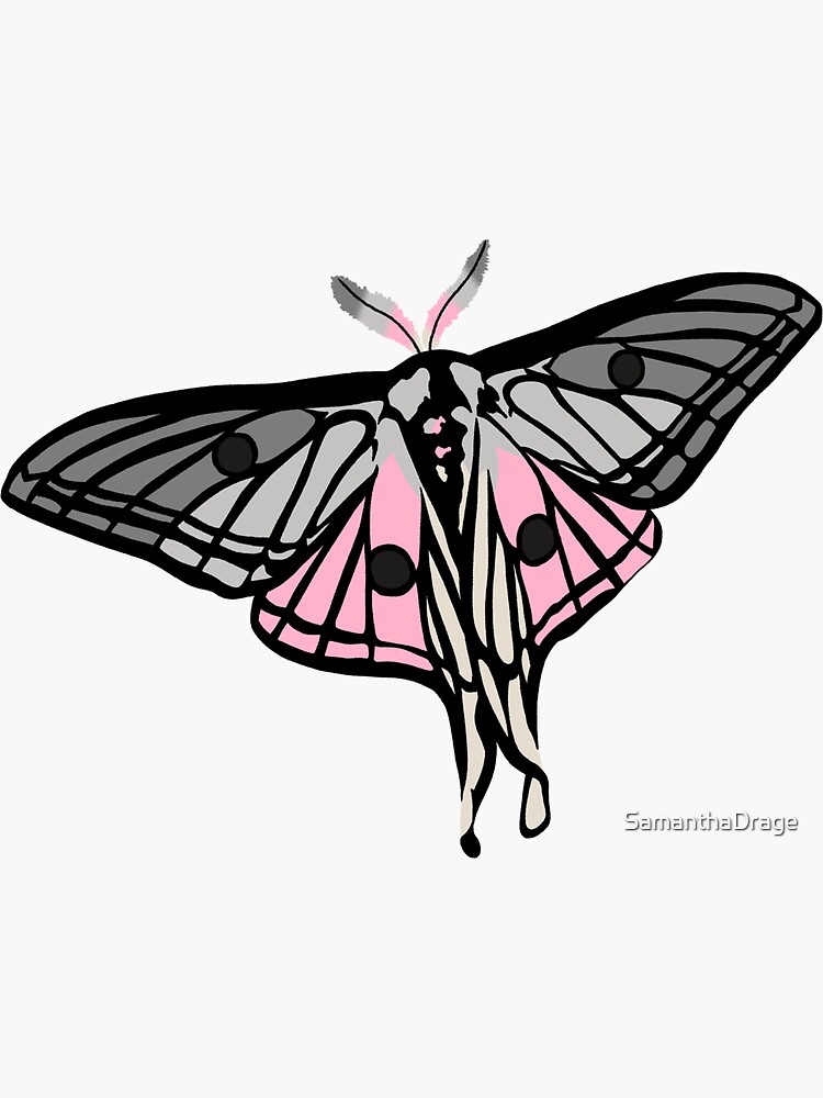 "Demi-Girl Pride Moth" Sticker for Sale by SamanthaDrage | Redbubble