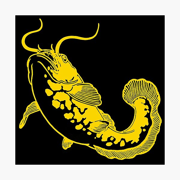 "Yellow Giant Catfish symbol" Photographic Print for Sale by ...
