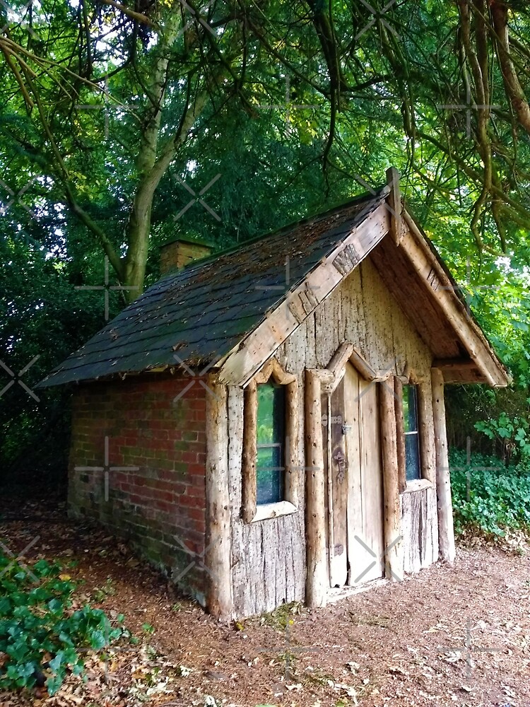 Lámina fotográfica «MI. #219 |☼| Choza - Toma en ángulo cerrado (Elsham ...