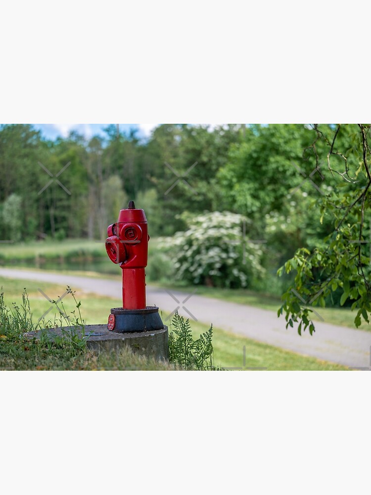 "red fire hydrant on the wayside" Poster for Sale by OskiOnTour | Redbubble