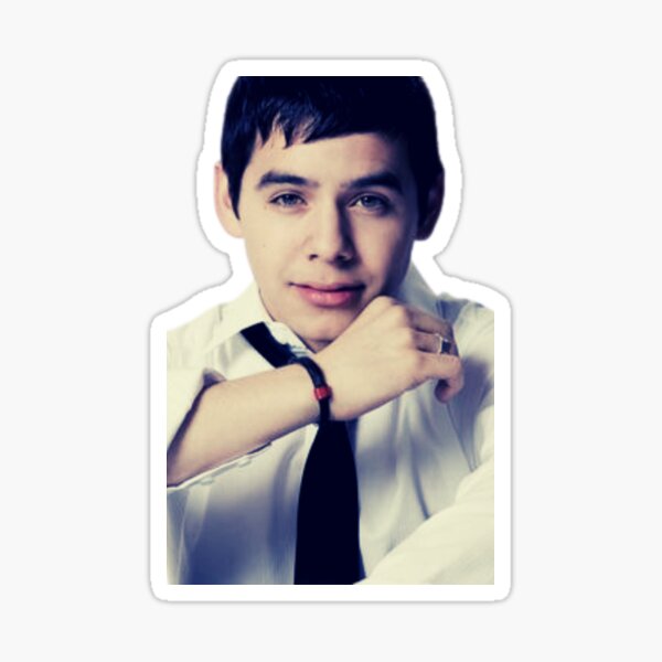 "David archuleta" Sticker for Sale by Tybrekir | Redbubble