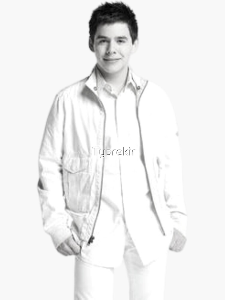 " David archuleta" Sticker for Sale by Tybrekir | Redbubble