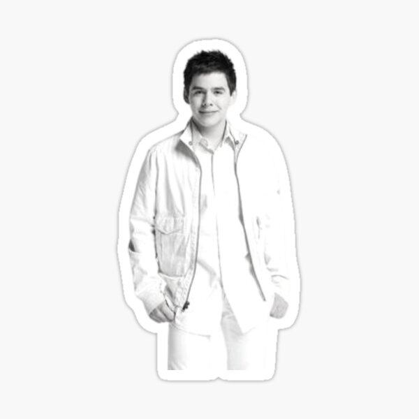 " David archuleta" Sticker for Sale by Tybrekir | Redbubble