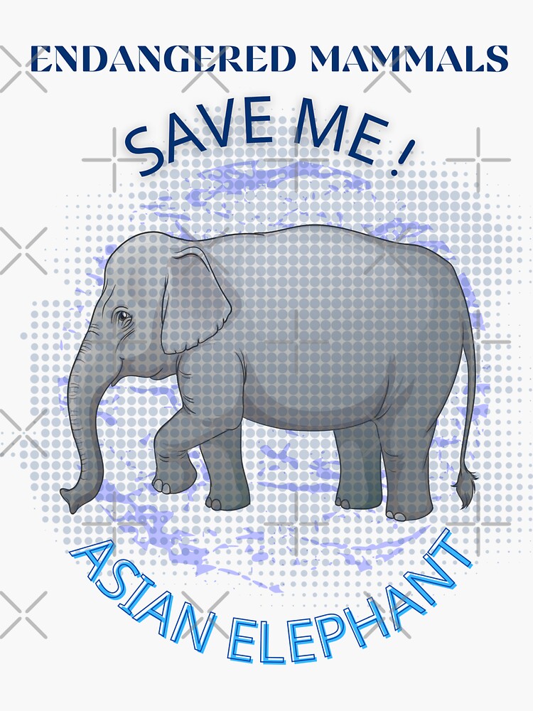 "Asian Elephant" Sticker for Sale by yassooarts | Redbubble