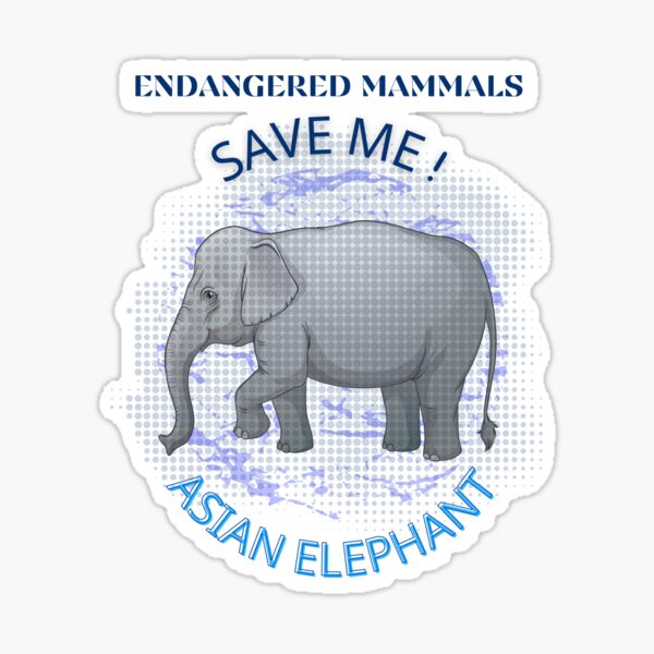 "Asian Elephant" Sticker for Sale by yassooarts | Redbubble
