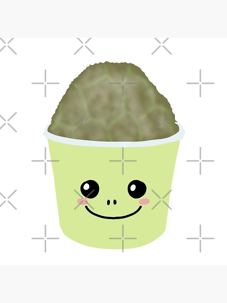 "Hawaiian shaved ice turtle" Poster for Sale by Becky-Marie | Redbubble