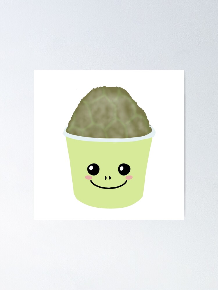 "Hawaiian shaved ice turtle" Poster for Sale by Becky-Marie | Redbubble