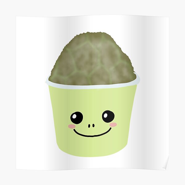 "Hawaiian shaved ice turtle" Poster for Sale by Becky-Marie | Redbubble