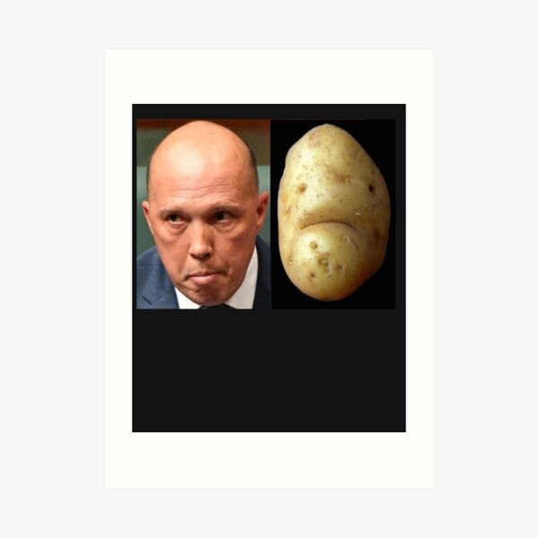 "Potato peter dutton- funny peter dutton meme potatohead" Art Print for ...