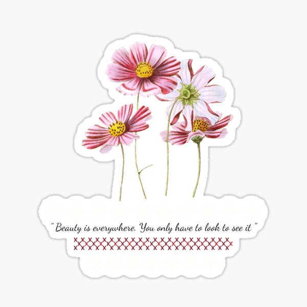 "Sweet Pink Cosmos" Sticker for Sale by Elicook | Redbubble