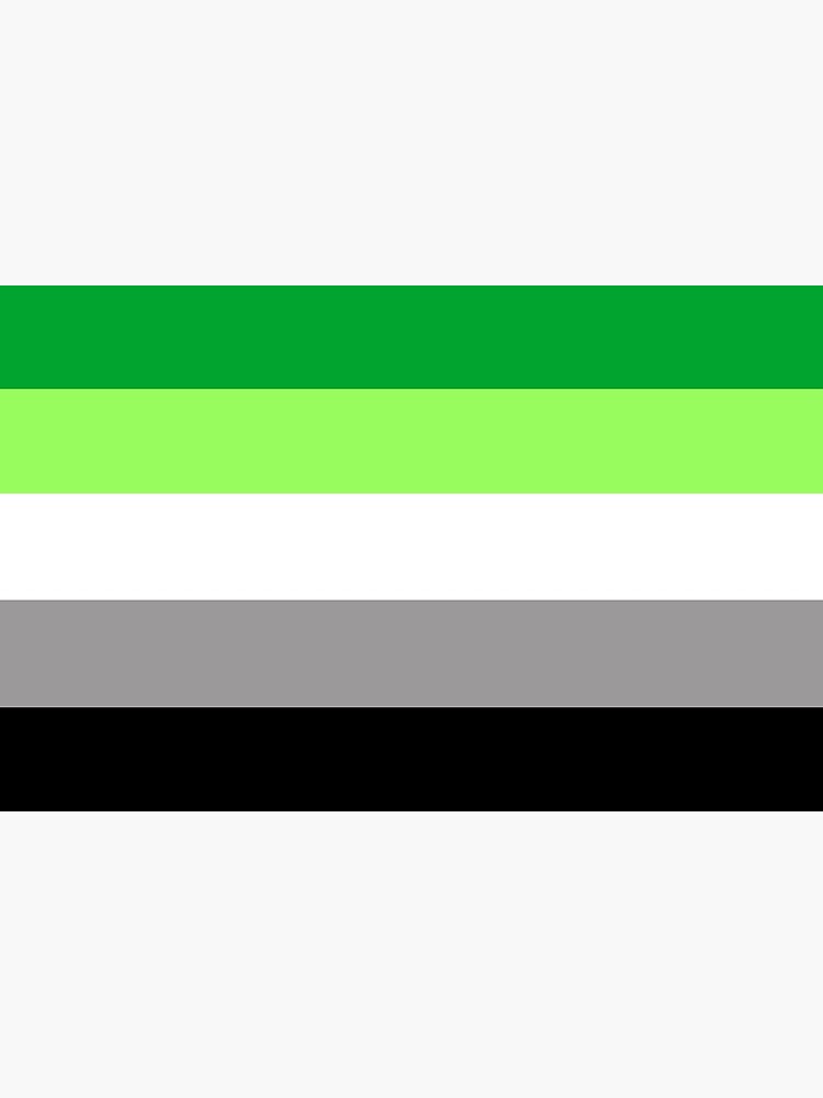 Aromantic Pride Flag White Stripe Variant Poster For Sale By