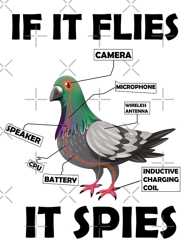 "If It Flies It Spies, Pigeon Anatomy Bird Aren't Real" Poster for Sale ...